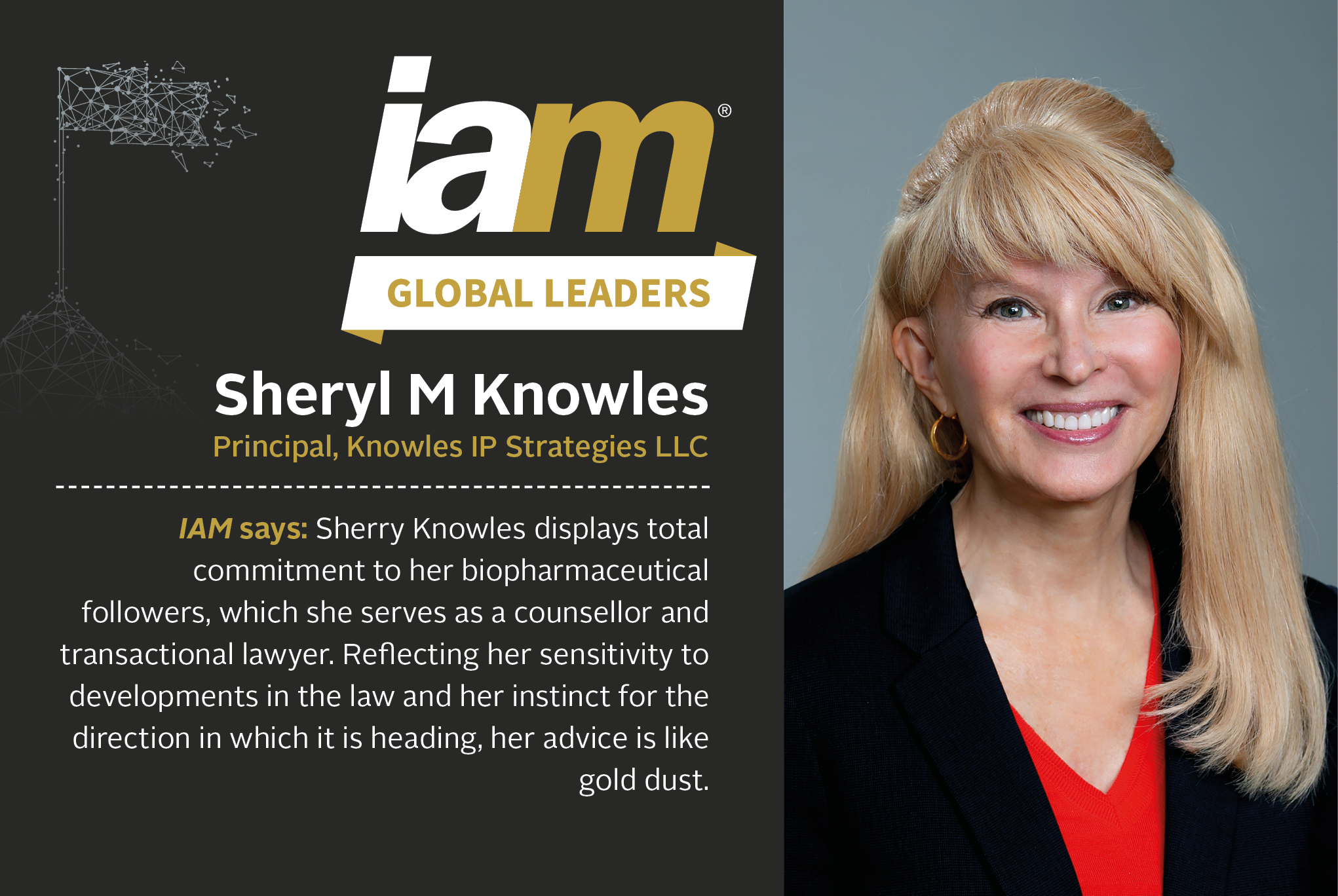 Sherry M Knowles - IAM
